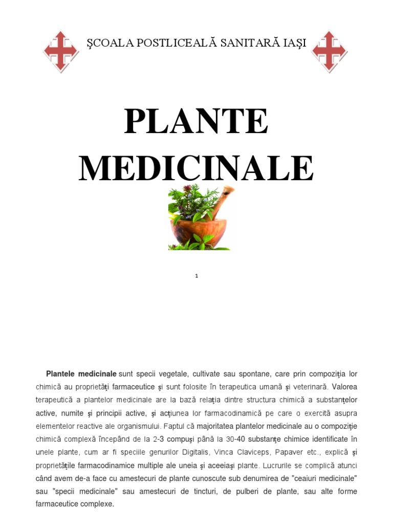 Plante Medicinale | PDF