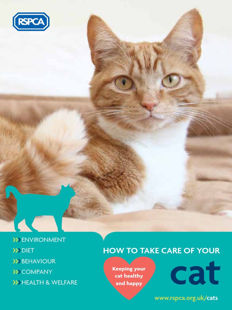 Cat Care Guide: Health & Happiness | PDF | Animal Welfare | Cats