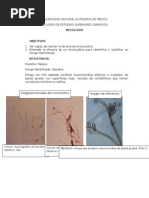 Certificado PDF | PDF | Science | Electrónica