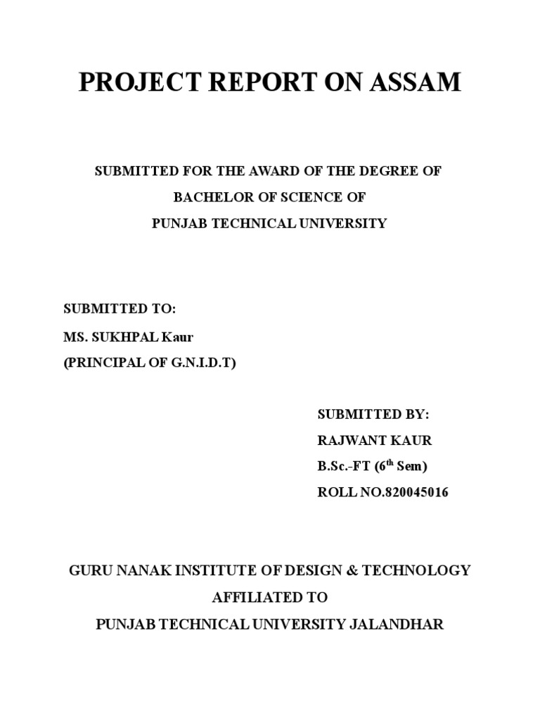 Assam Project Report | PDF | Clothing