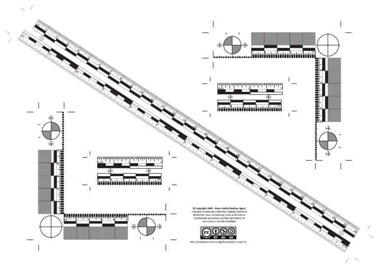 Printable Forensic Rulers | PDF