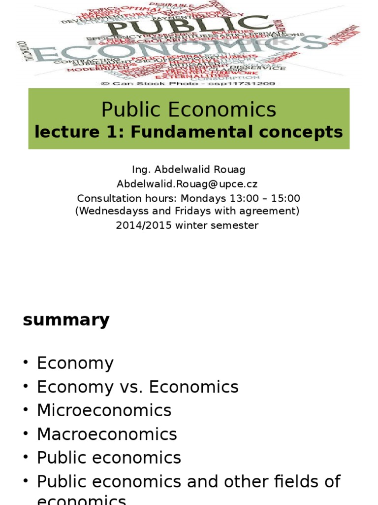 Public Economics Fundamentals | PDF | Microeconomics | Economics