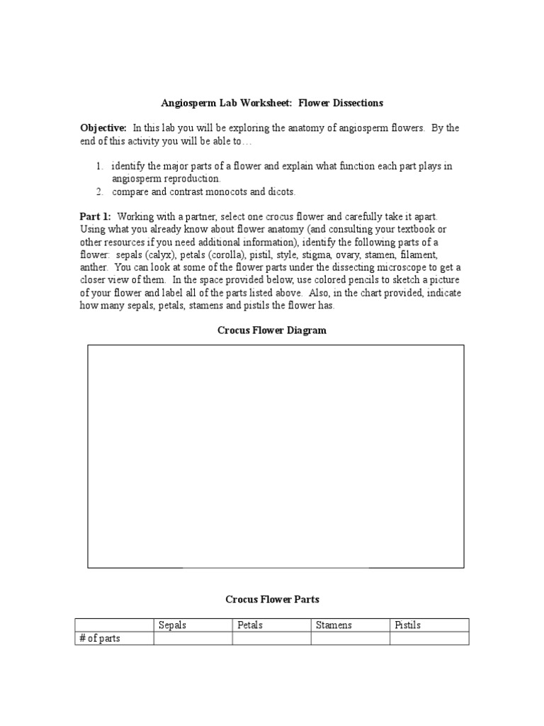 Flower Lab For Biology | PDF | Flowers | Petal