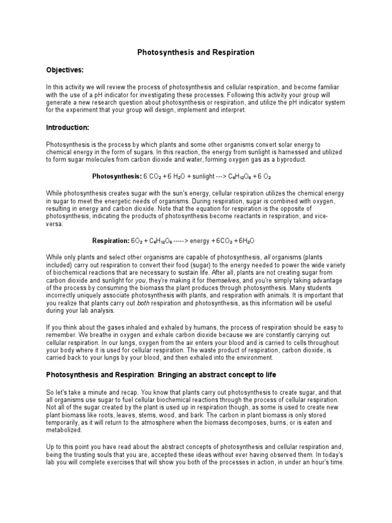 BTB Experiment: Photosynthesis & Respiration | PDF | Photosynthesis ...