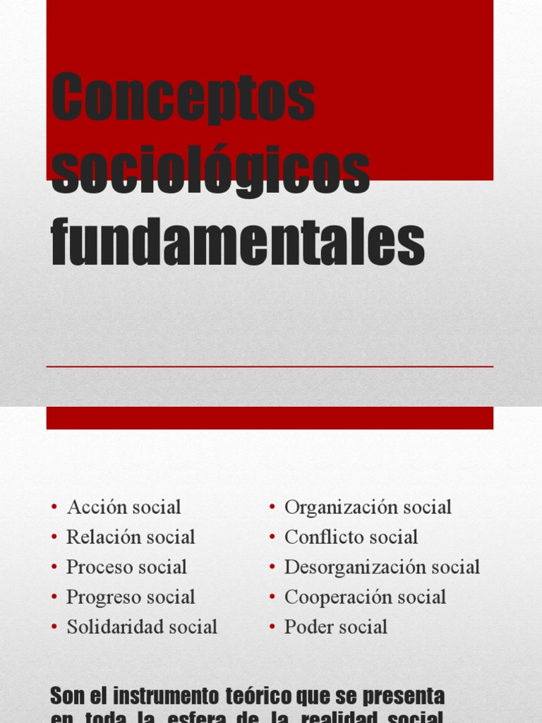 Conceptos Sociológicos Fundamentales | PDF | Sociedad | Sociología