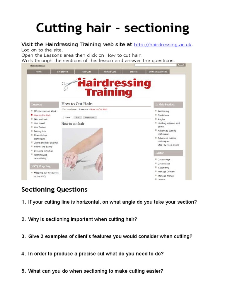 Hair Cutting Sectioning Guide | PDF