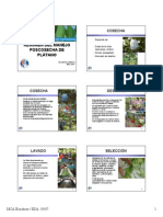 Fitomejoramiento - Endogamia y Heterosis | PDF | Endogamia | Dominancia (Genética)