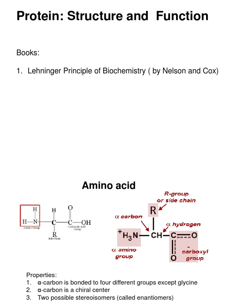 Protein Structure | PDF | Alpha Helix | Beta Sheet