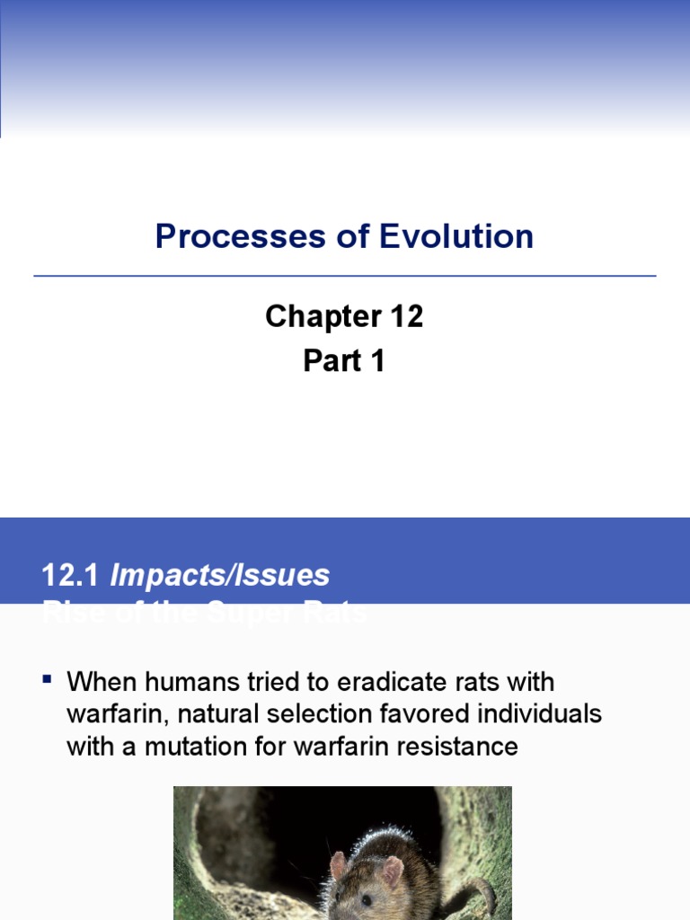 Evolutionary Processes and Natural Selection | PDF | Natural Selection ...