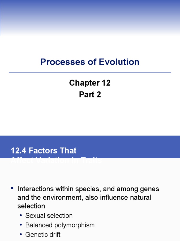 Processes of Evolution | Download Free PDF | Hybrid (Biology) | Natural ...