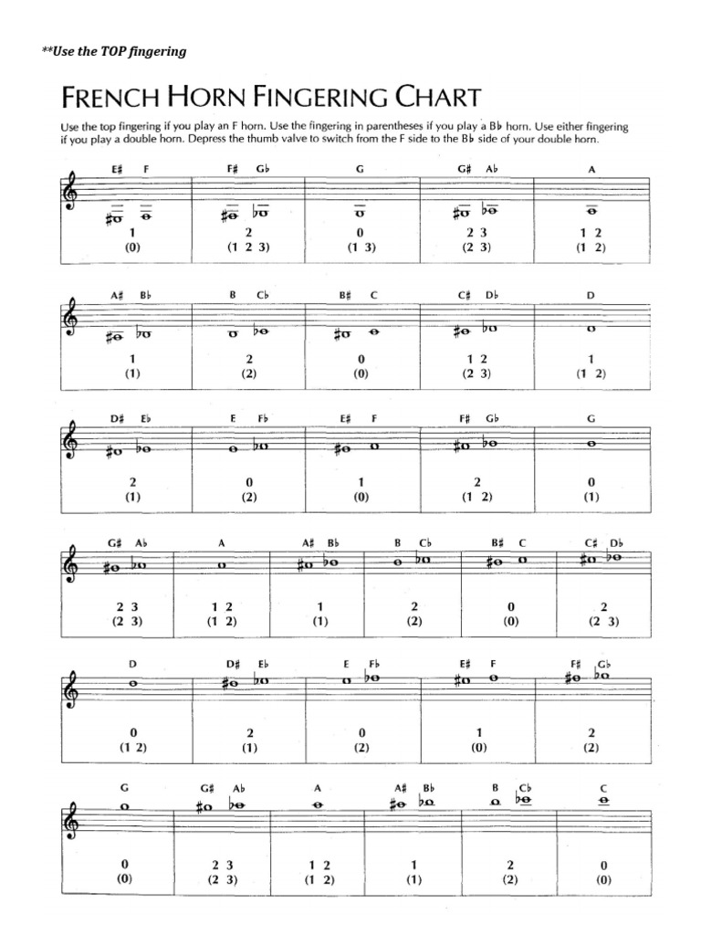 French Horn | PDF
