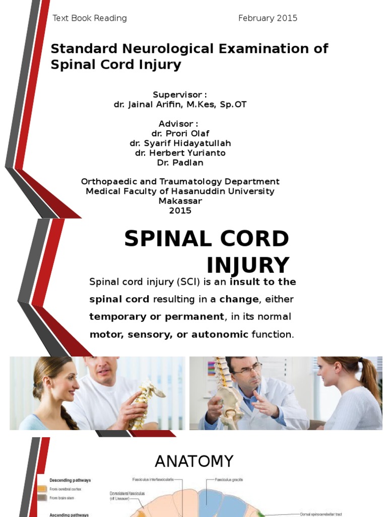 Standard Neurological Examination of Spinal Cord Injury: Text Book ...