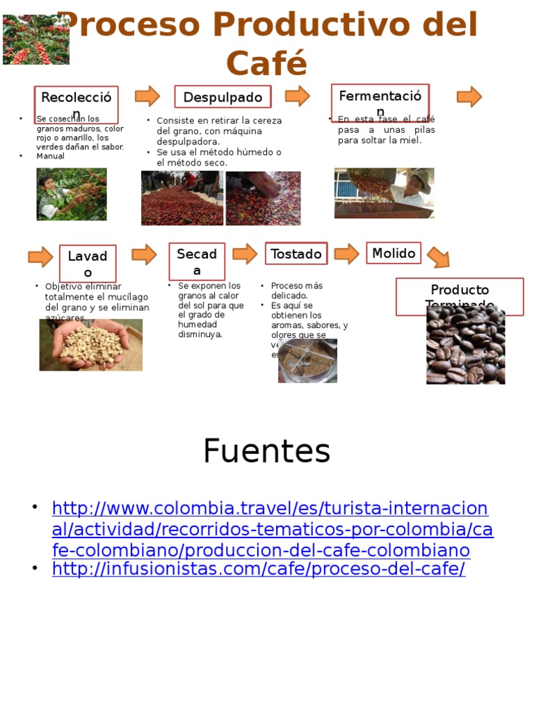 Proceso Del Cafe Pasos - slingo
