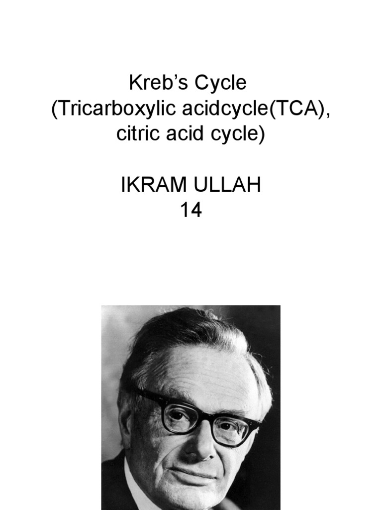 Understanding the Krebs Cycle: An In-Depth Examination of the Reactions ...