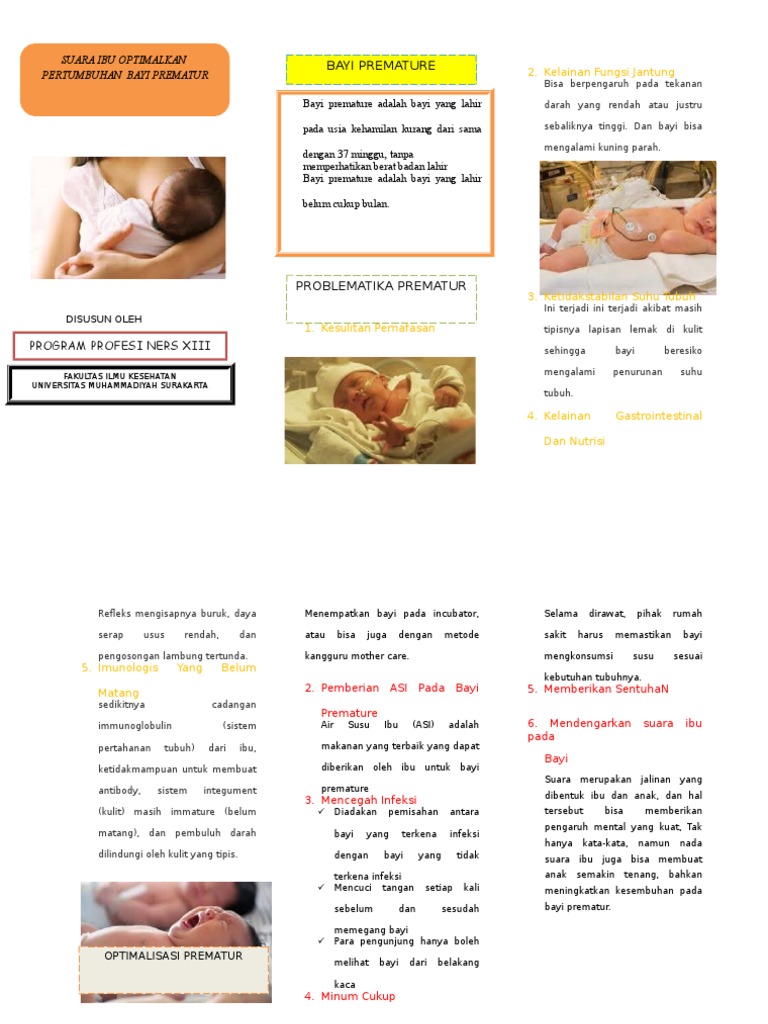 Leaflet Penkes BBLR by Ewa | PDF