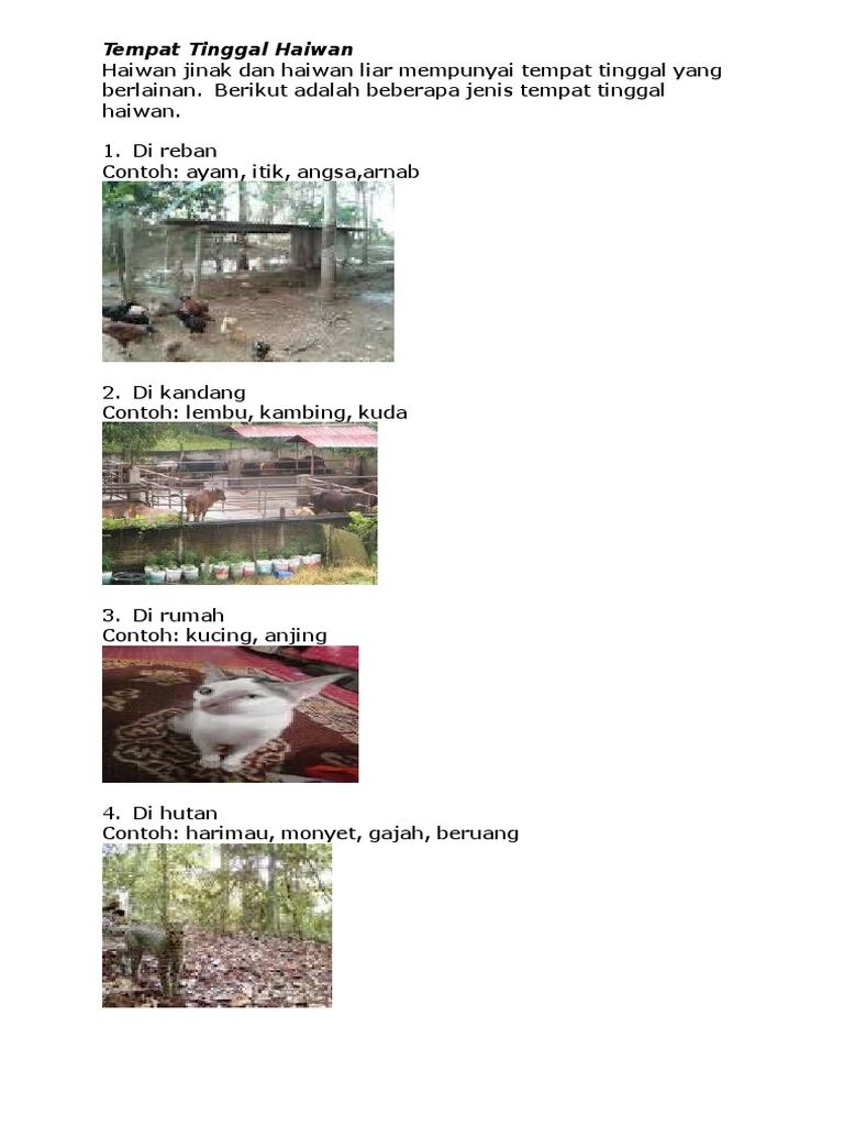 Gambar Tempat Tinggal Haiwan - legsploaty Gambar Tempat Tinggal Haiwan - legsploaty