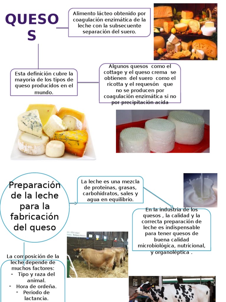 QUESOS | PDF | Leche | Queso