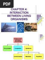 Sample School Strategies For Numeracy Intervention | PDF | Educational ...