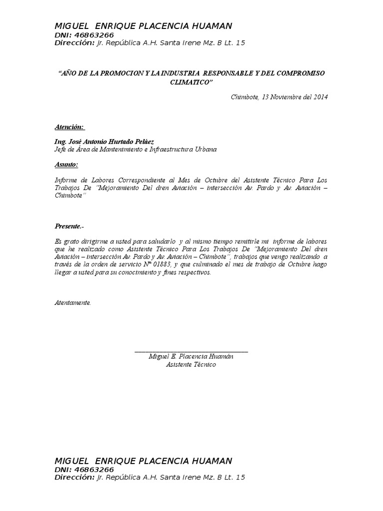 Informe Asistente | PDF | Hormigón | Construyendo tecnología