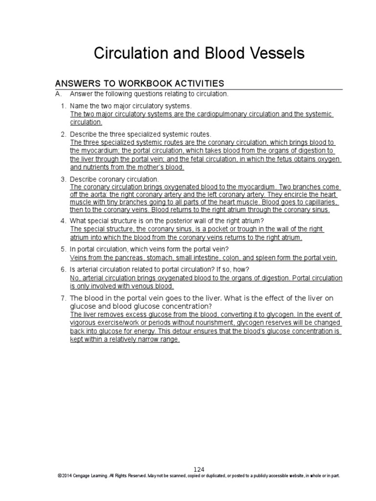 Circulation and Blood Vessels | PDF | Circulatory System | Vein