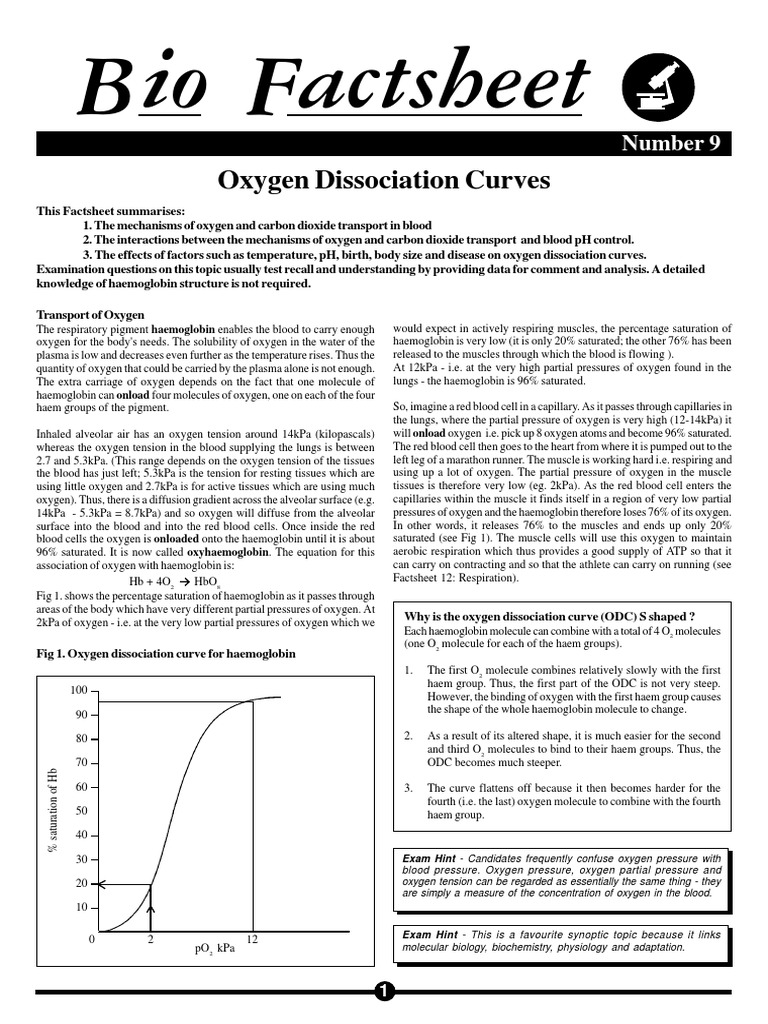 Oxygen Dissociation Curves | PDF | Hemoglobin | Blood