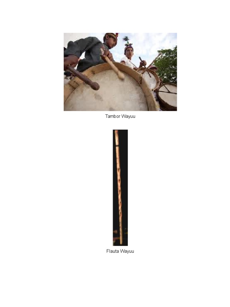 Tambor Wayuu | PDF