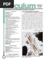 ASE Guidelines for Chamber Quantification | PDF | Ventricle (Heart ...