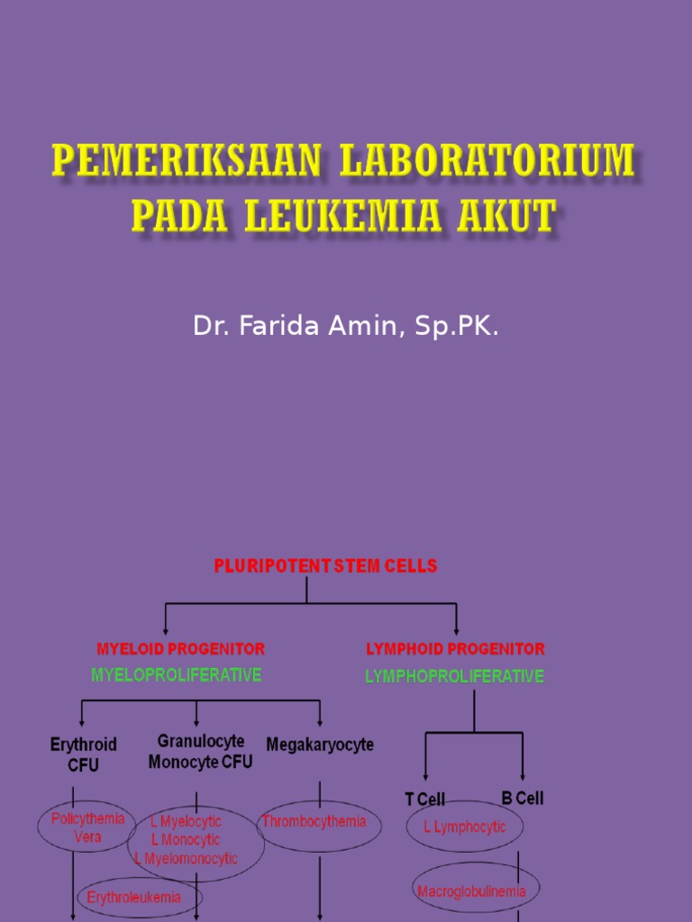 Leukemia Akut PP | PDF