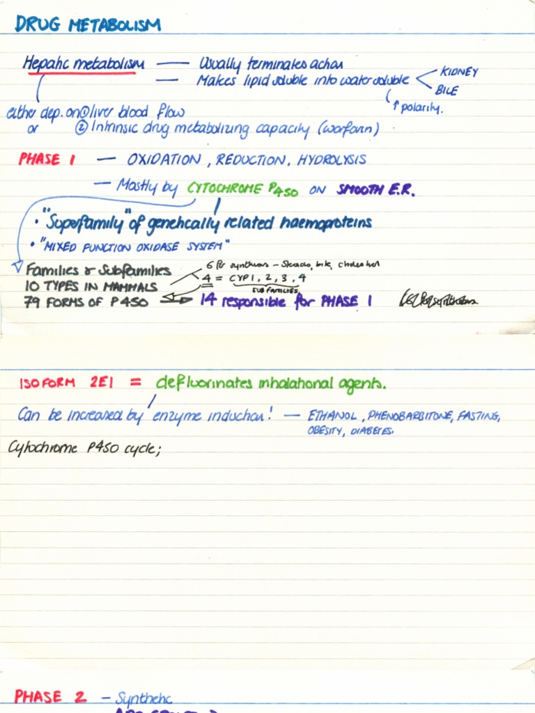 Drug Metabolism | PDF