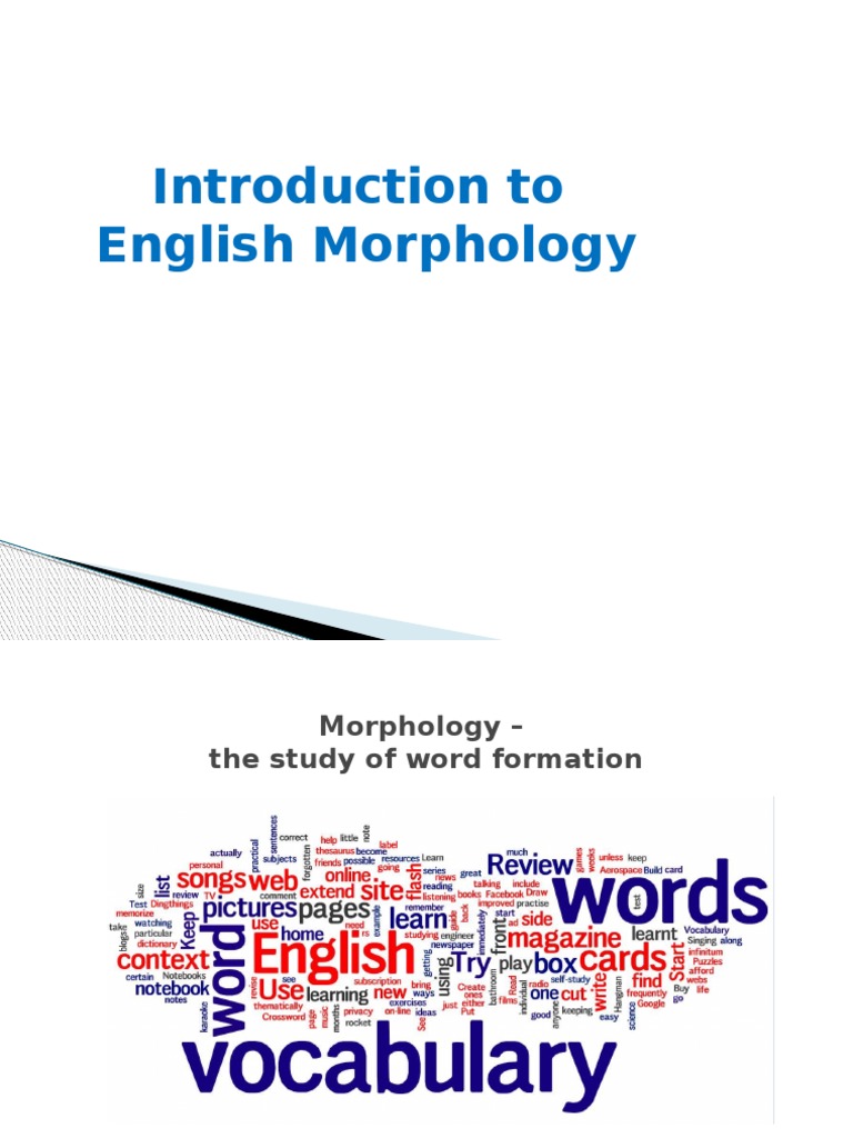 Introduction To English Morphology | PDF | Morphology (Linguistics) | Word