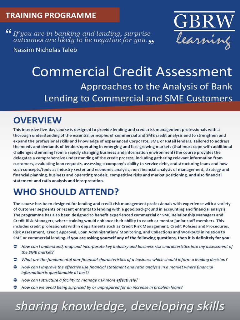 Commercial Credit Risk Assessment | PDF | Loans | Leverage (Finance)