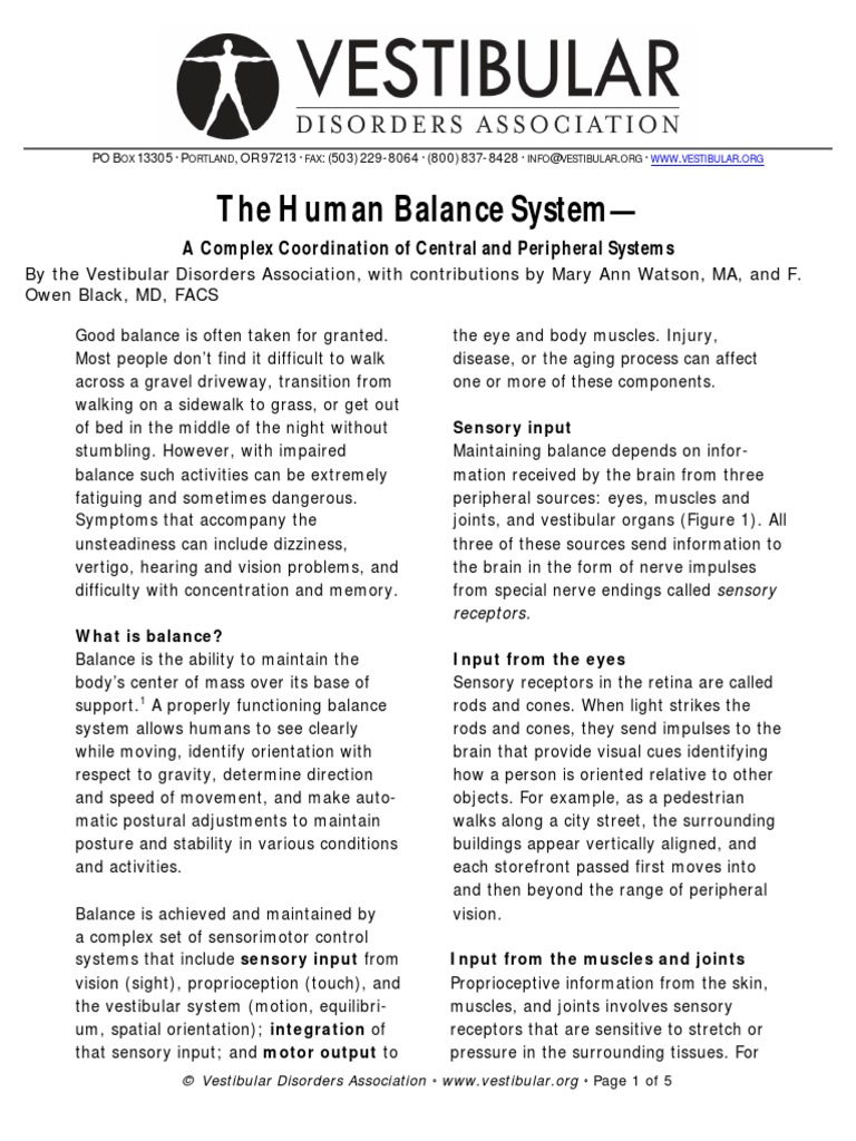 Human Balance System | PDF | Balance (Ability) | Vestibular System
