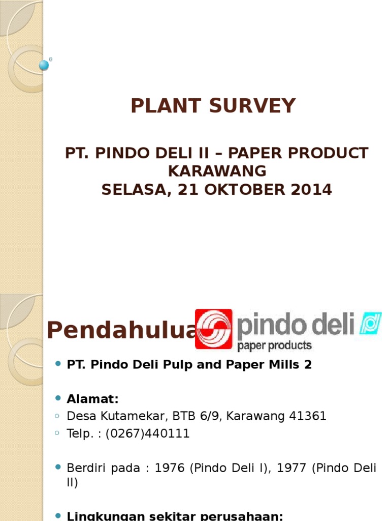 Pindo Deli | PDF