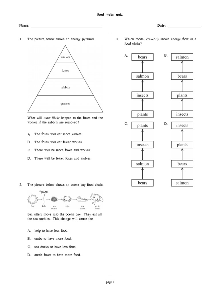 Food Webs Quiz Name: Date | PDF | Food Web | Ecosystem