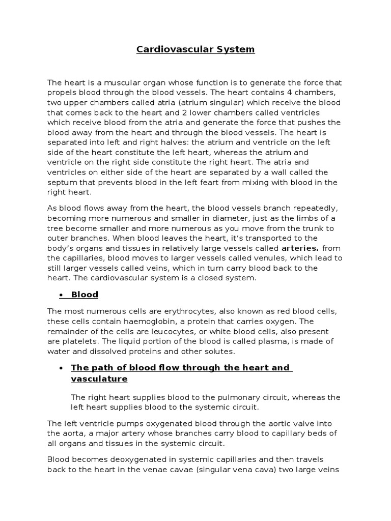 Cardiovascular System | PDF | Heart Valve | Heart
