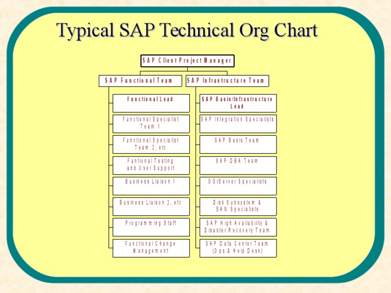 SAP Technical Organizational Structure | PDF | Career & Growth