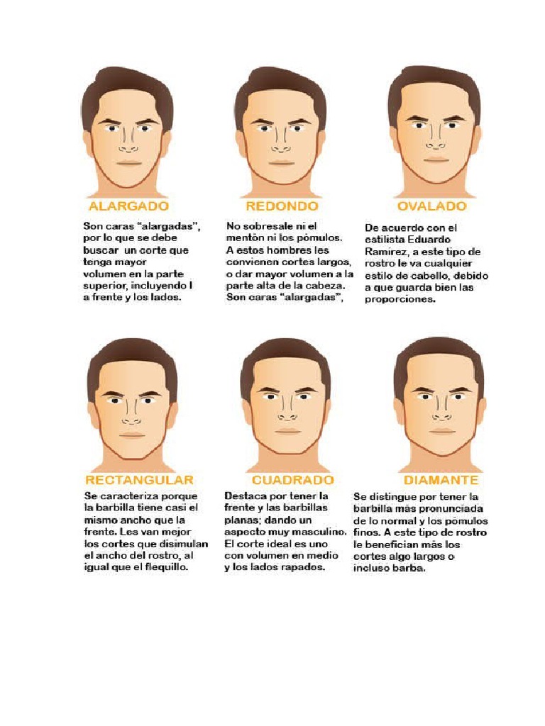 Proporciones Perfectas Del Rostro Masculino Plantilla De Cara
