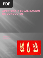 Clasificacion de Vertucci | PDF | Diente | Anatomia dental