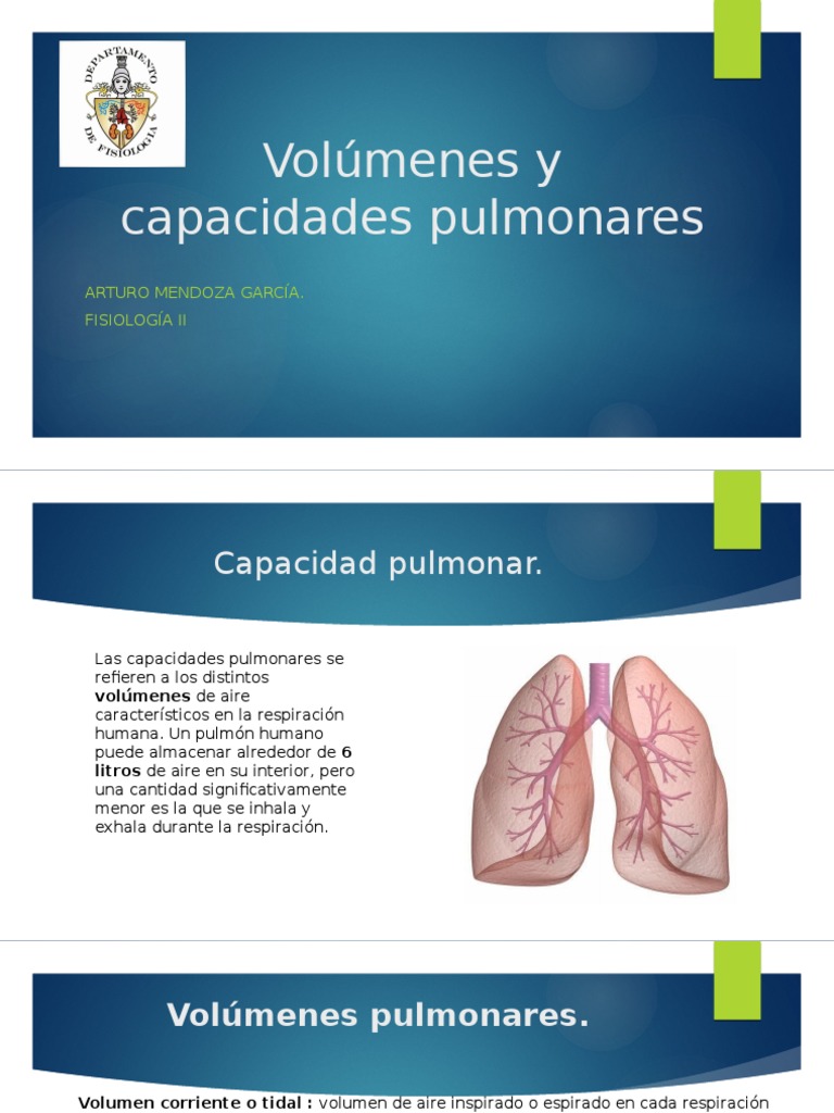 Volúmenes y Capacidades Pulmonares | PDF | Pulmón | Respiración