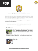 Quiroscopía | PDF | Huella dactilar | Mano