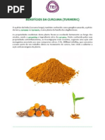 CURCUMICEL | PDF | Biodisponibilidade | Especialidades médicas
