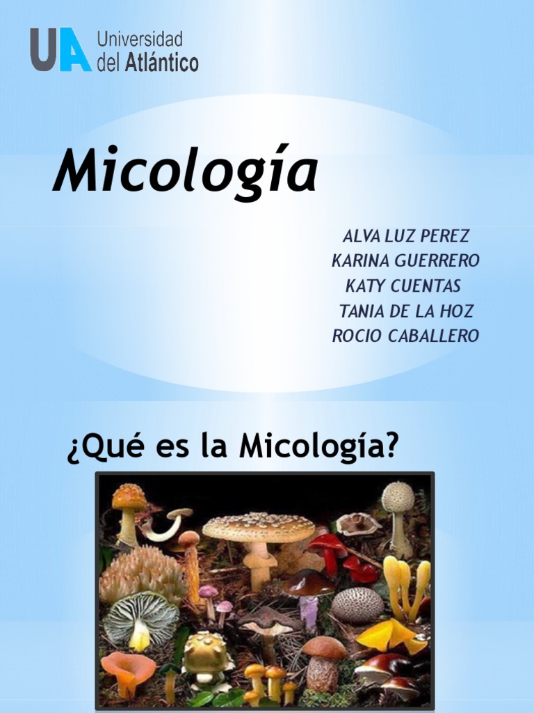 Micología | PDF | Hongo | Ciencias de la vida
