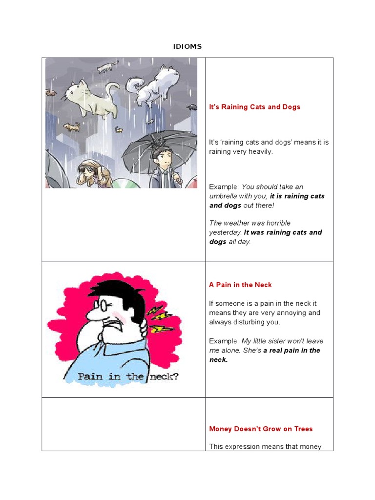 It's Raining Cats and Dogs: Idioms | PDF
