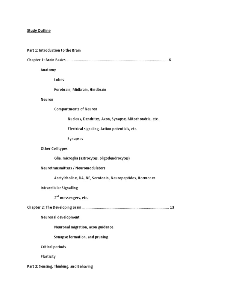 Brainbee Study Outline PDF | PDF | Brain | Neuron