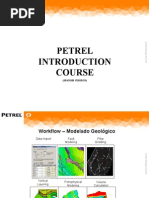 Manual Petrel Basico | PDF | Archivo de computadora | Ventana (informática)