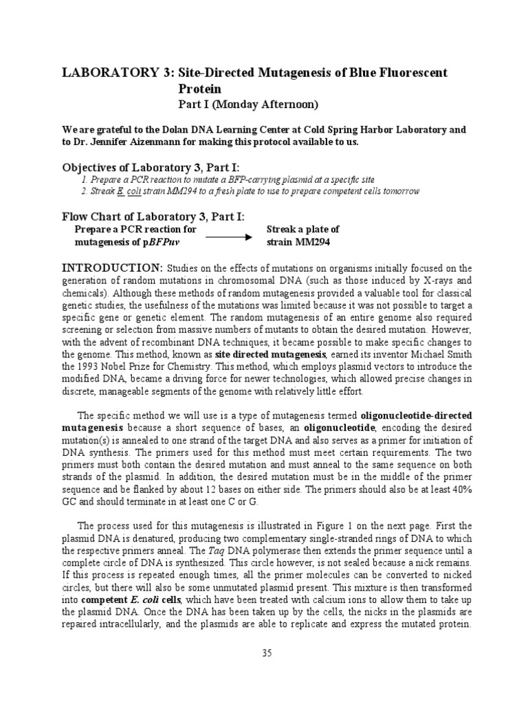 BFP To GFP | PDF | Green Fluorescent Protein | Polymerase Chain Reaction