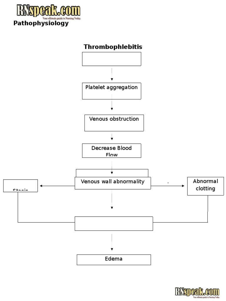 Pathophysiology of Thrombophlebitis | PDF