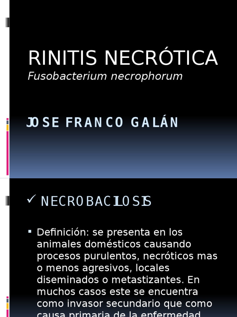 Rinitis Necrótica | PDF | Oveja | Vacas