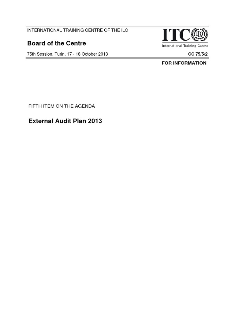 External Audit Plan | PDF | Financial Audit | Audit