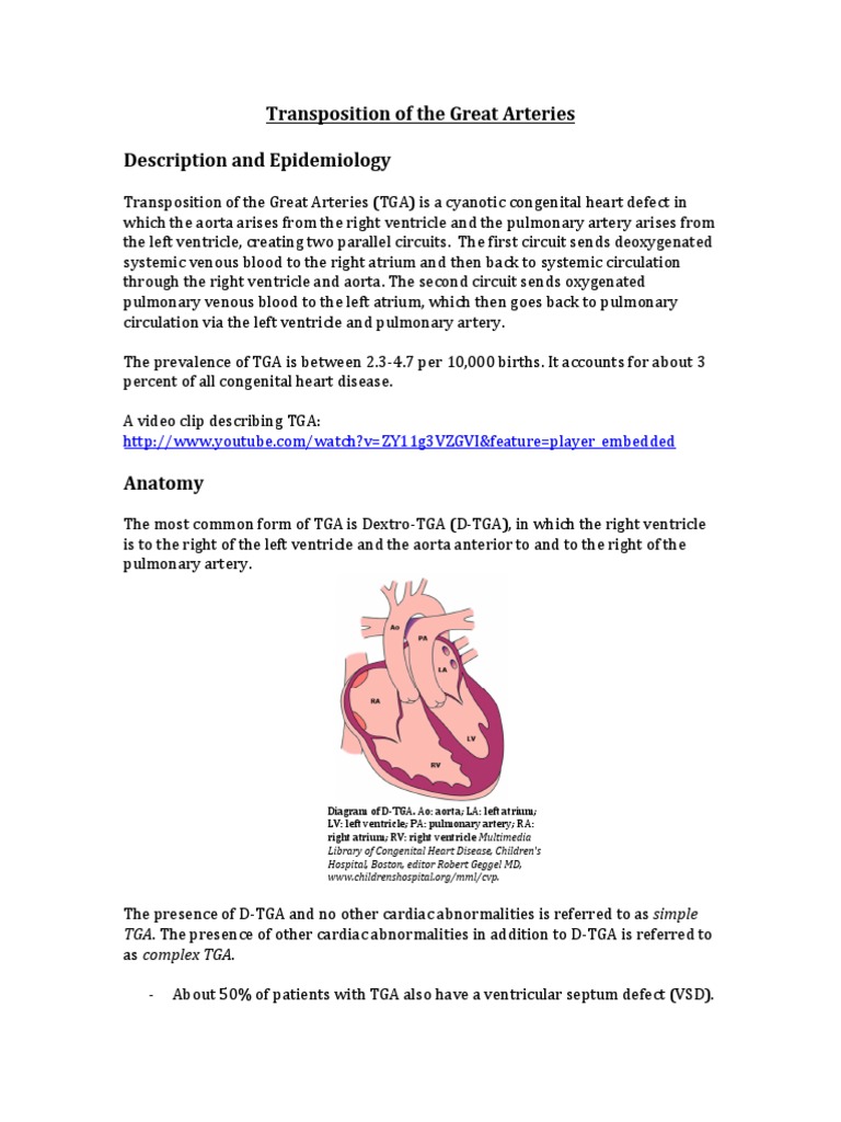 Transposition of The Great Arteries PDF | PDF | Ventricle (Heart) | Heart